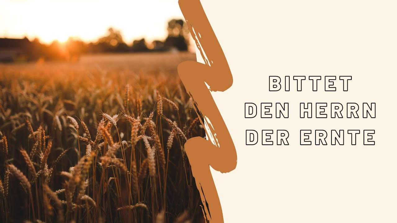 Bittet den Herrn der Ernte - 06.11.22 - EFG Gusternhain - YouTube