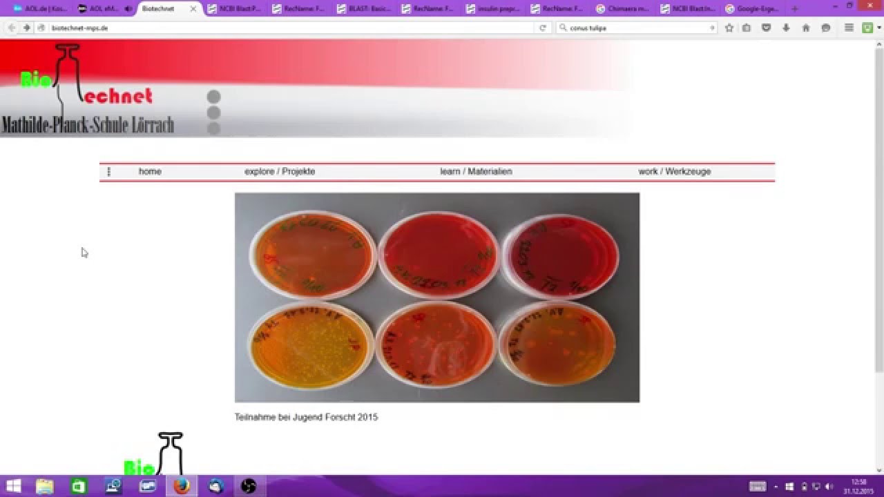 Insulin_project idea Projektidee mit biotechnet_mps - YouTube