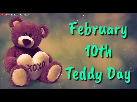 Valentine Day Week List 2020 | WhatsApp Status | Best Lover Days For February |