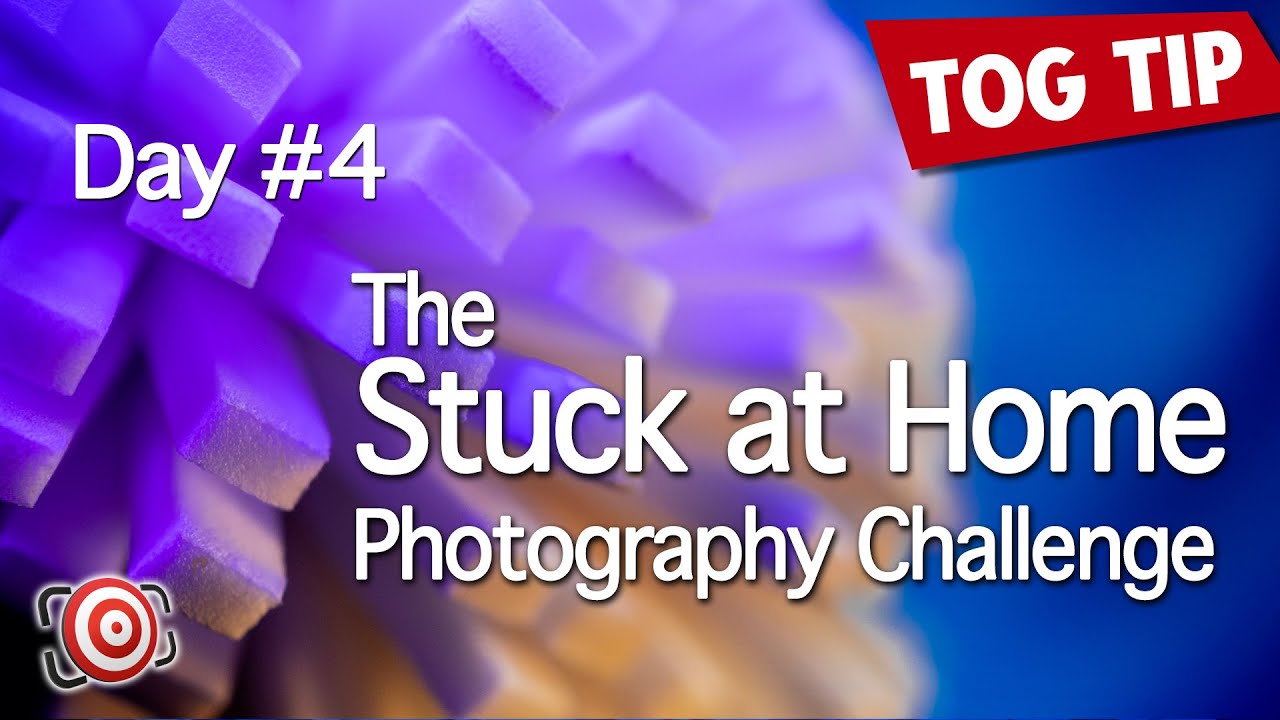 The STUCK at HOME Photography Challenge - Day 4 - Improve Your ...
