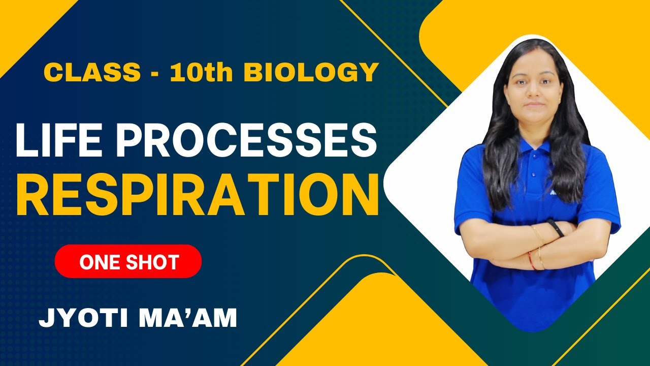 Life Processes Respiration Class 10 || Respiration in One Shot By Jyoti ...