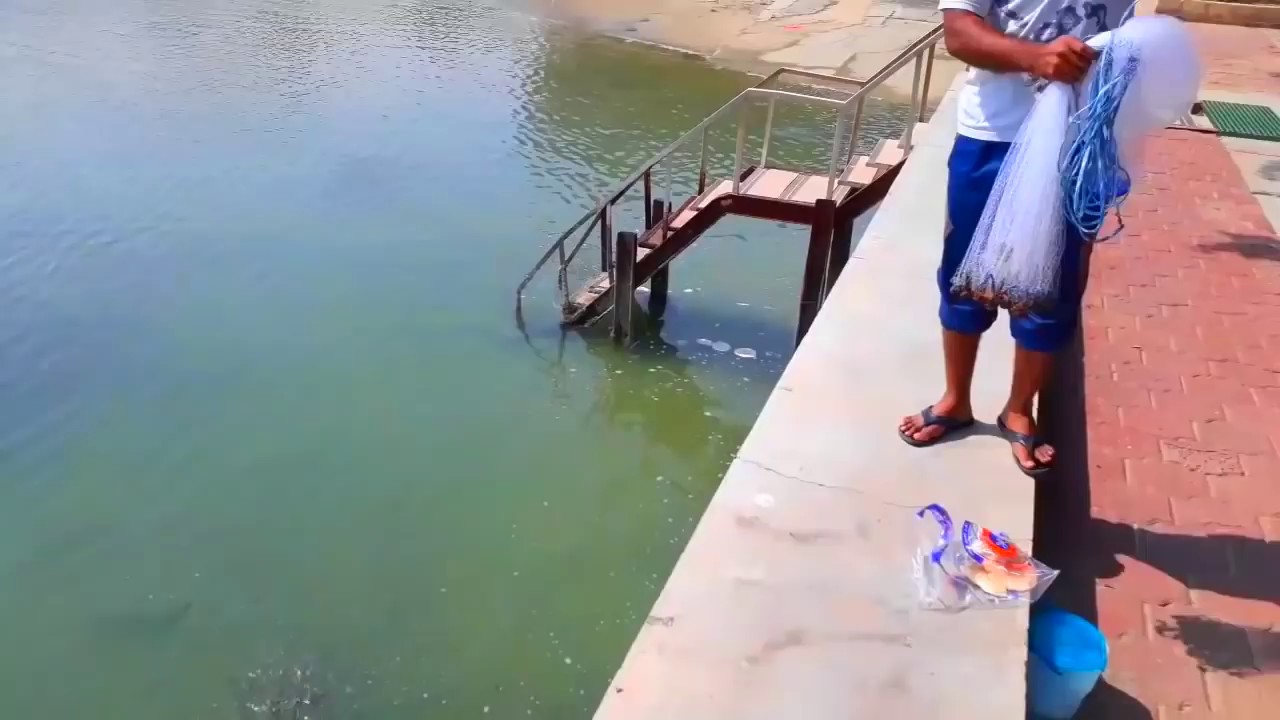 Fishing - Cast net fail - കൂട്ടുകാരന്റെ വലവീശൽ - YouTube