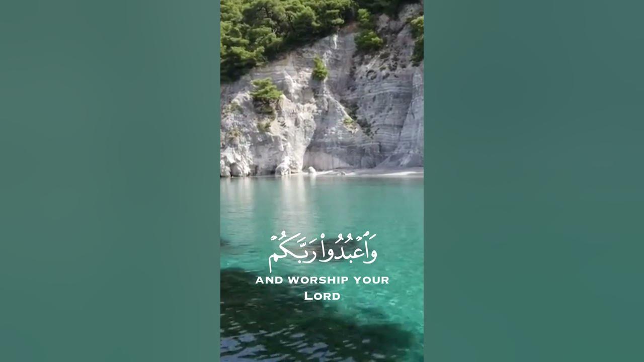 يا أيها الذين آمنوا اركعوا واسجدوا عبدالرحمن مسعد Youtube