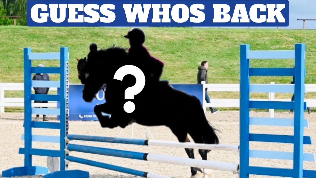 GUESS WHO IS BACK ? - YouTube