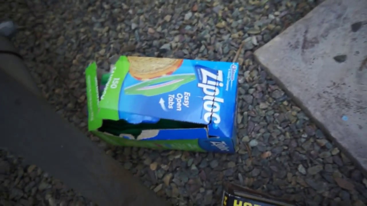 HOW TO DISPOSE OF A RAT OR MOUSE AFTER YOU CATCH THEM. - YouTube