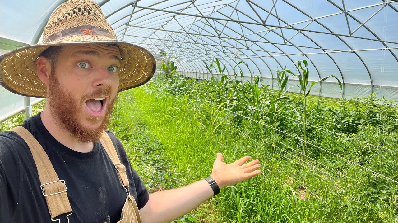 NRCS High Tunnel Progress June 2022 Zone 7 - YouTube