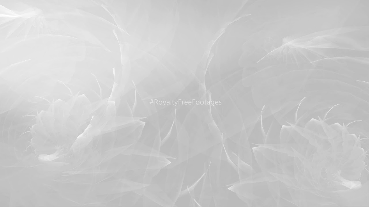 white motion background | motion graphics background loop | free White ...