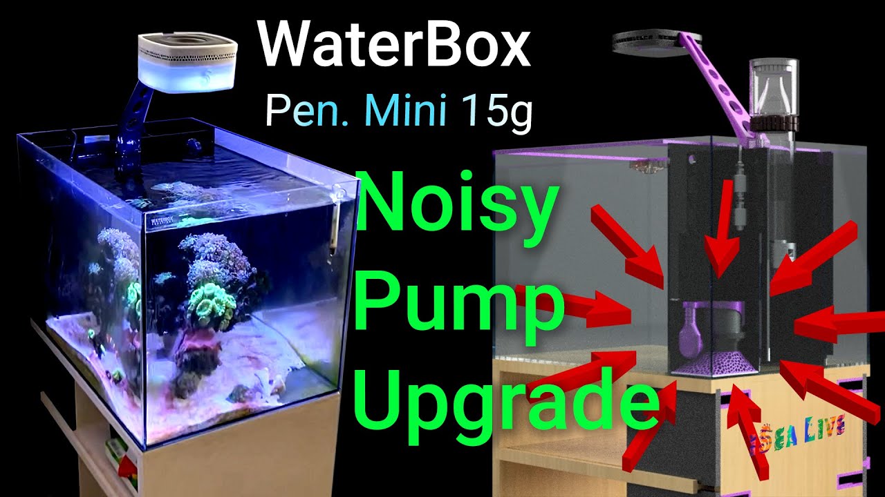 WaterBox Peninsula Mini 15g Pump Upgrade | 3d Printed | Part 4 - YouTube