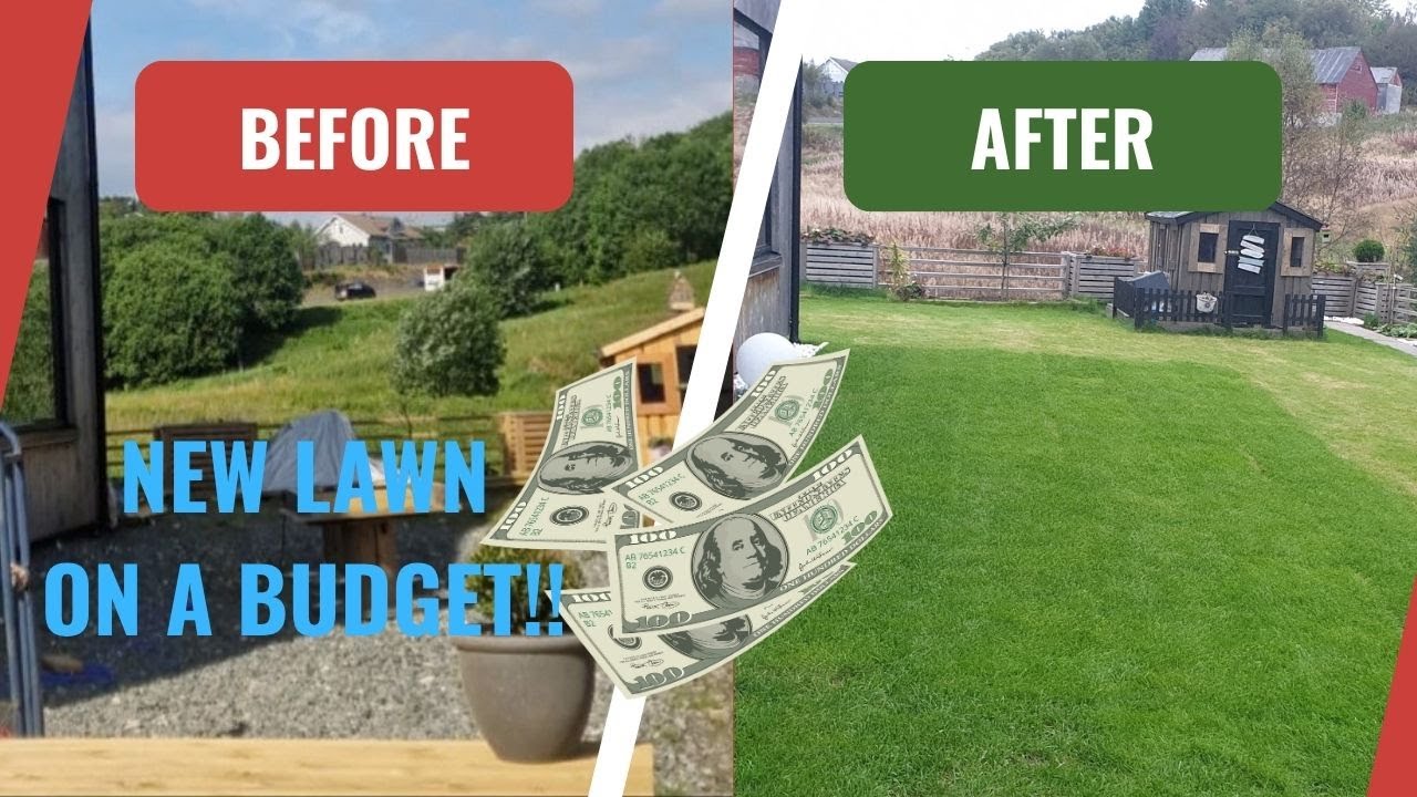 How to Easily make NEW LAWN - New build garden - Easy and cheap. - YouTube
