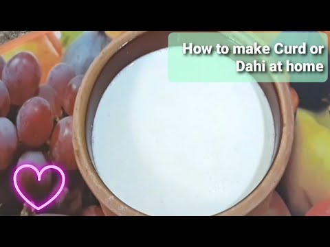 Homemade curd | how to make curd at home with tips and tricks|smart ...