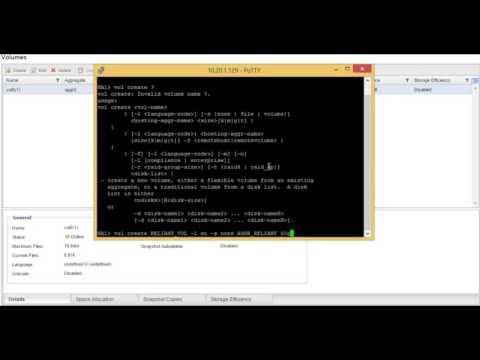 How to Create a Volume on Your NetApp Filer Using the CLI - YouTube