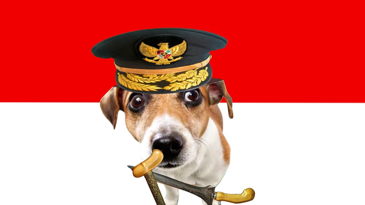 Turi Ip Ip Ip 🇲🇨 - YouTube