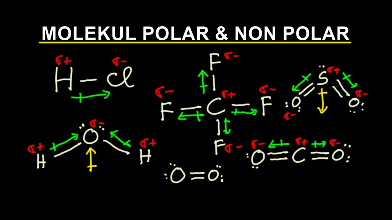 Molekul Polar And Non Polar Youtube