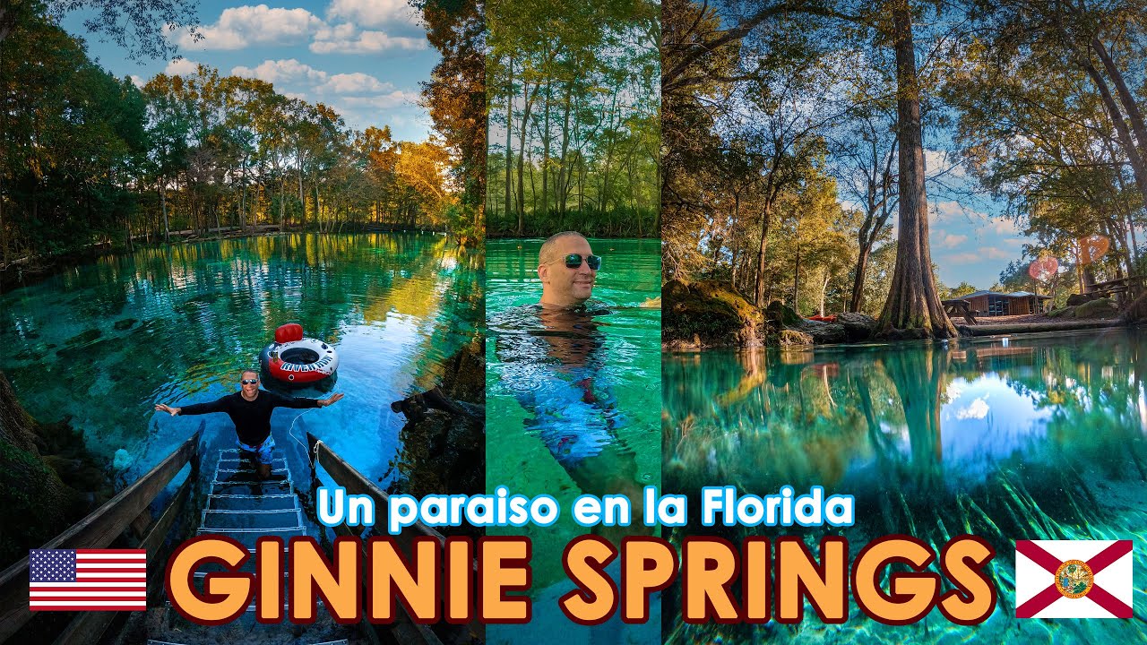 Ginnie Spring, las mas visitadas del Estado de la Florida. #ginniesprings #florida - YouTube