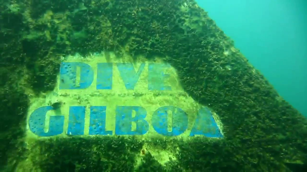 Kevin diving Gilboa Quarry - YouTube