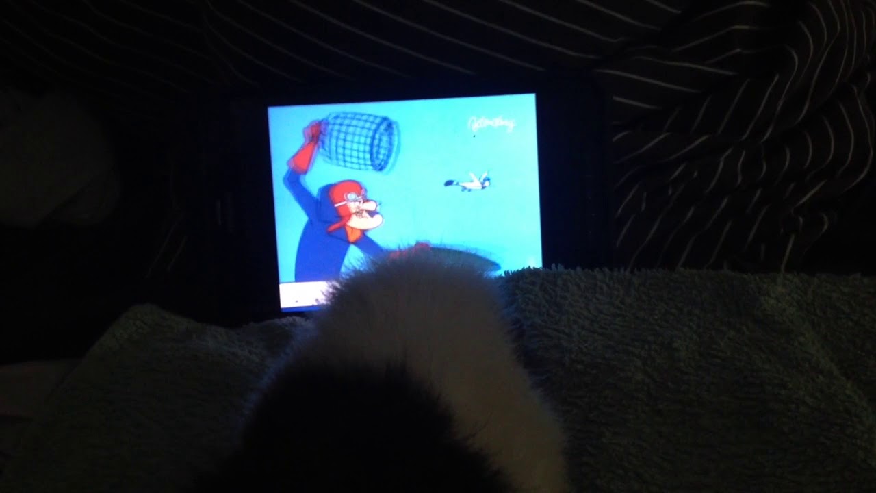 Mulle titta på stoppa duvan! - YouTube