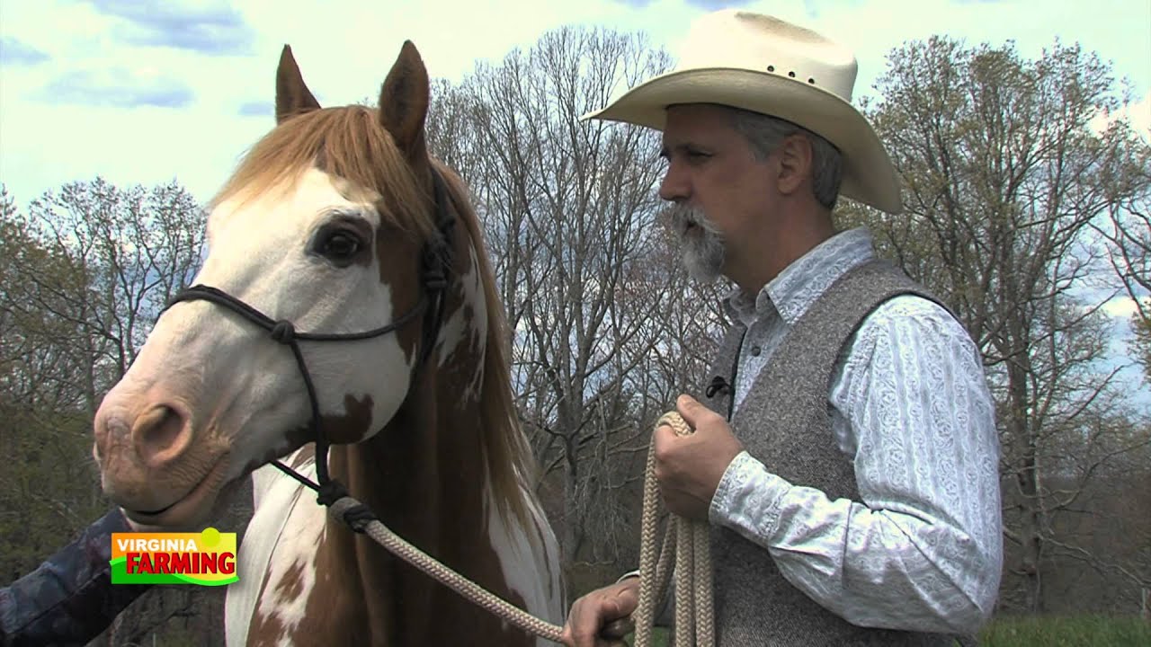Equine Author Tom Moates - YouTube