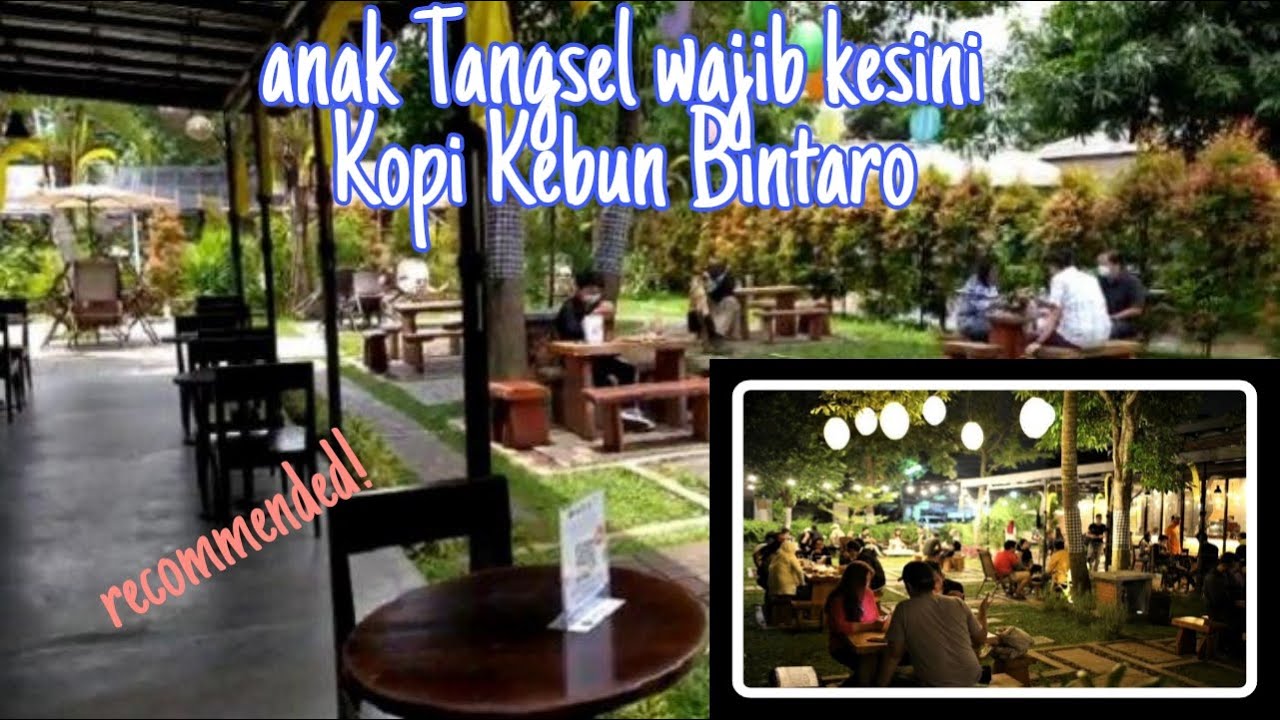 cafe di Tangsel suasana bali | kopi kebun Bintaro intip harga²nya - YouTube