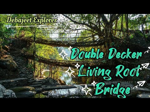 Double Decker Living Root Bridge (Shillong, Meghalaya) - YouTube