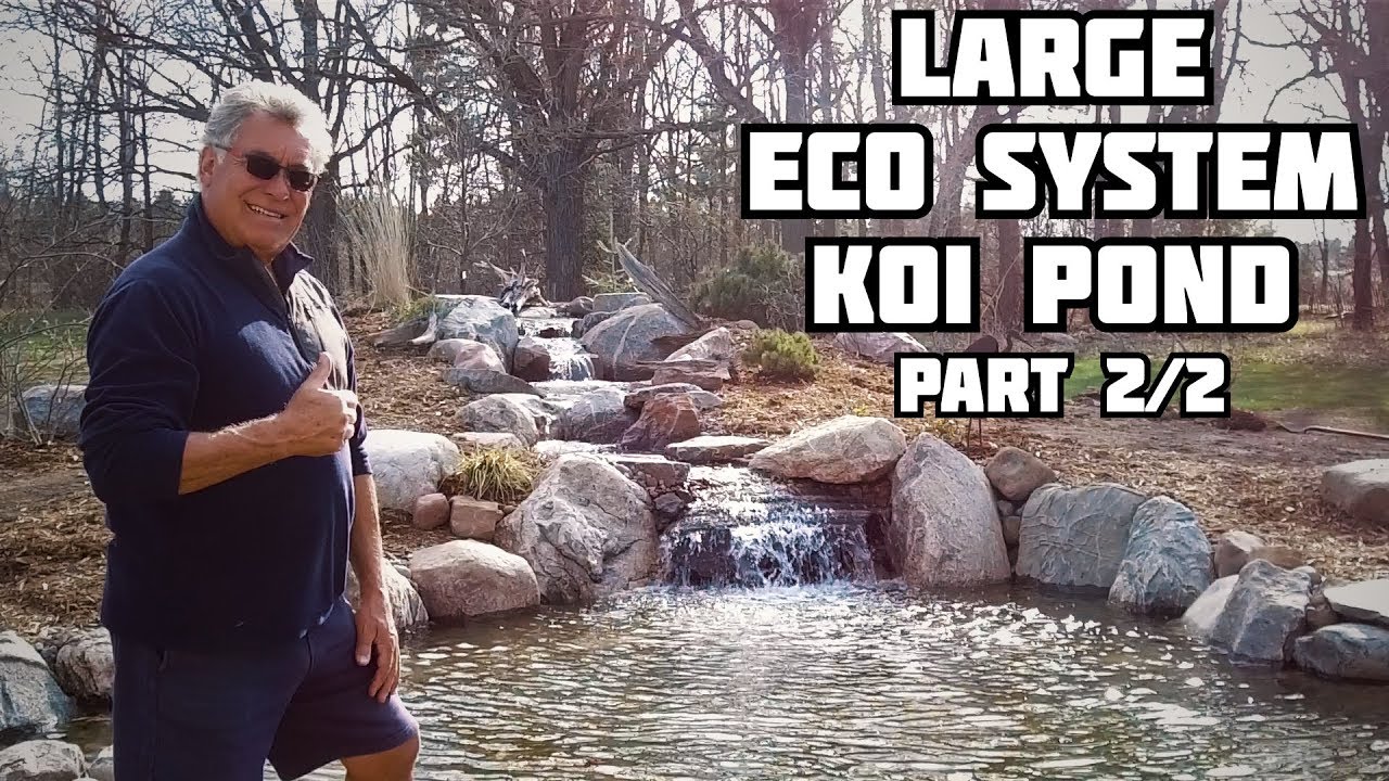 PART 2 (Large Ecosystem Koi Pond) We install a Huge Water Garden for a ...