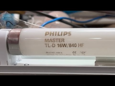 Philips TL-D 16W/840 HF T8 fluorescent for electronic ballast operation ...