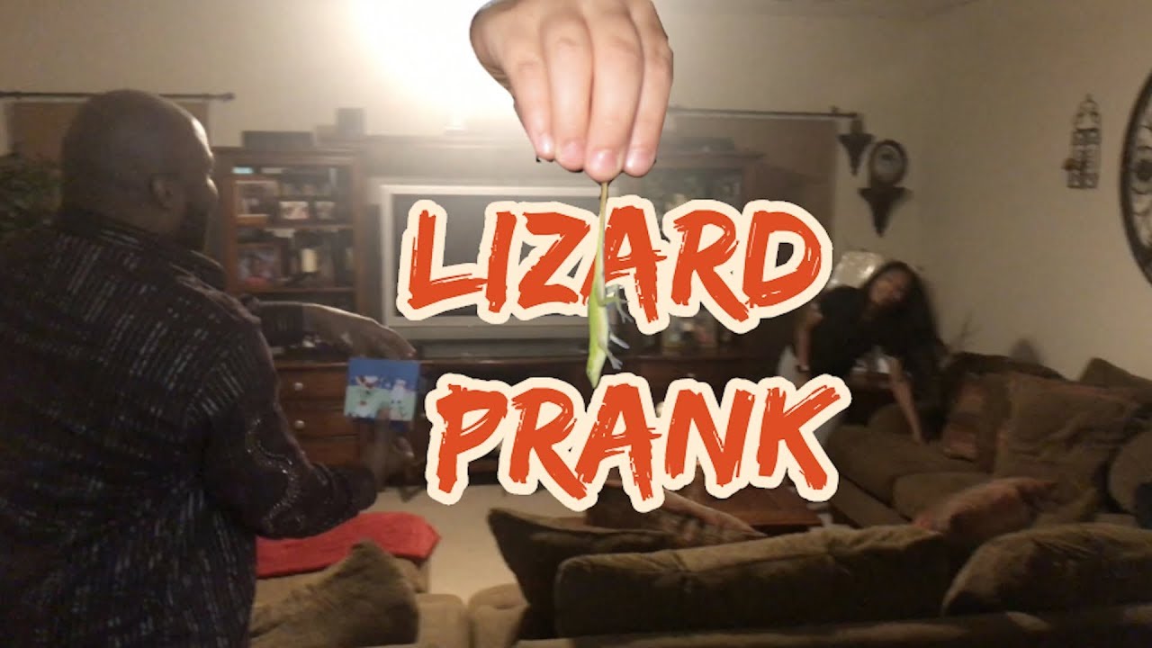 LIZARD PRANK FT IMTRINITYTAYLOR - YouTube