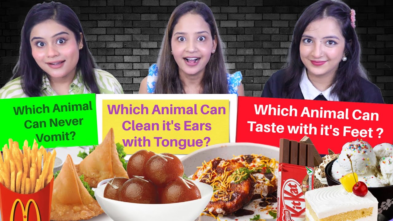 Guess the Animal Food Challenge | Fun Challenge | Family Show | Food ...