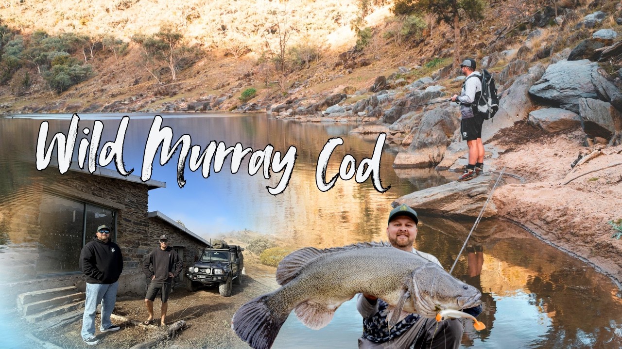 5 Day Fishing, Hut Camping & Fire Cooking Adventure - YouTube