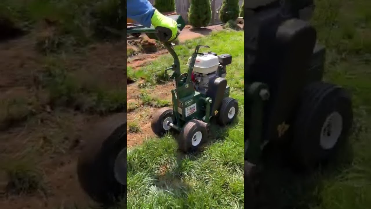 Sod cutter to remove weeds store