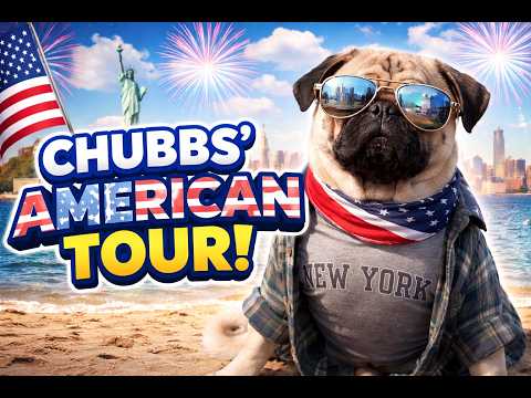 Chubbs Explores America, US | From Niagara Falls to Surfing Adventures! 🐶🌎