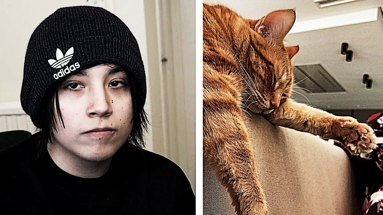 EL GATO DE RUBIUS ODIA A QUACKITY💢. - YouTube