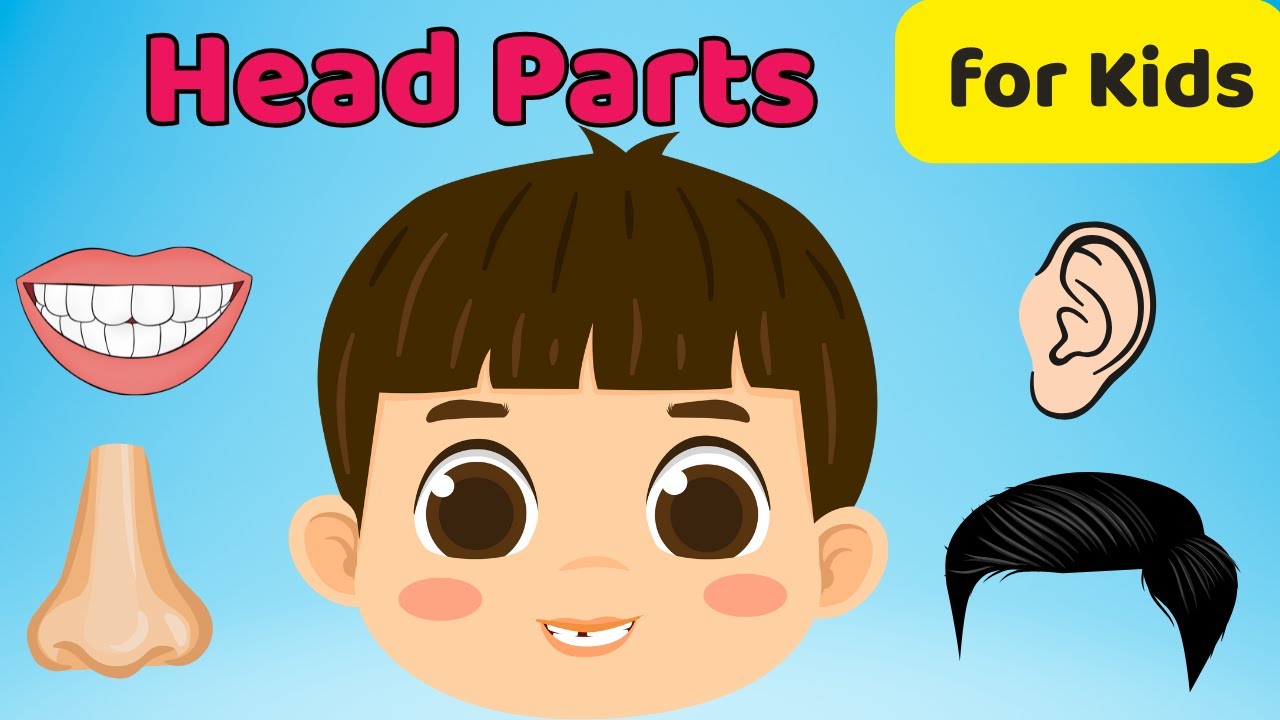 Learn Body Parts for Kids | Fun & Easy English Lesson for Toddlers and ...