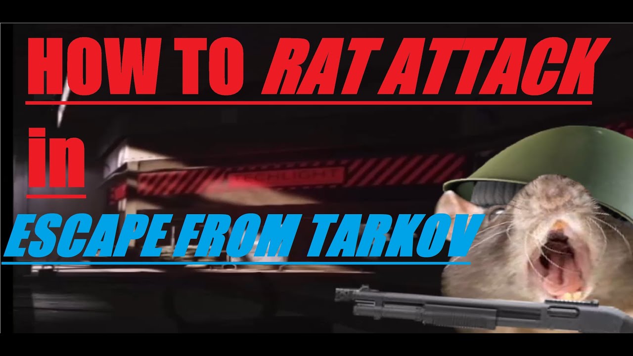 How to PROPERLY RAT ATTACK in Tarkov - YouTube