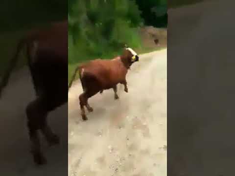 Youtube için video çekmeye çalışanlar (Temsili)