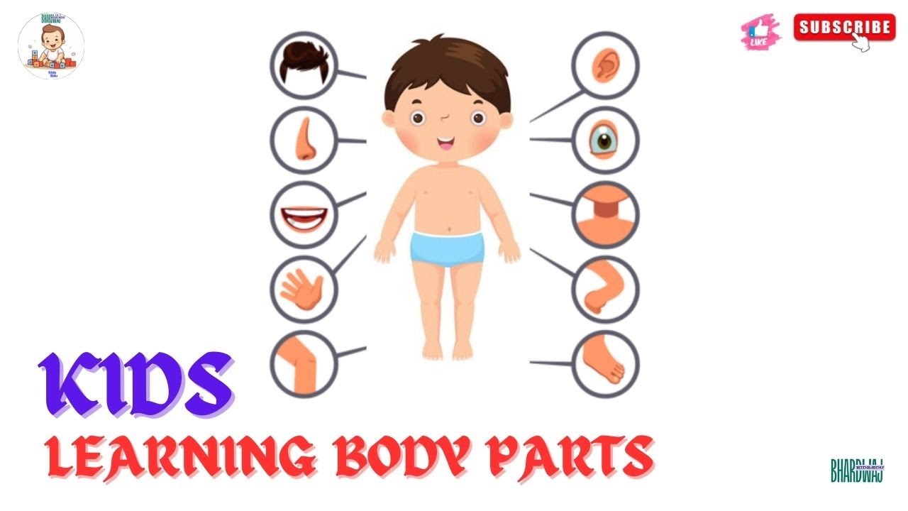 Learn Body Parts with Blippi | Educational Videos for Kids - YouTube