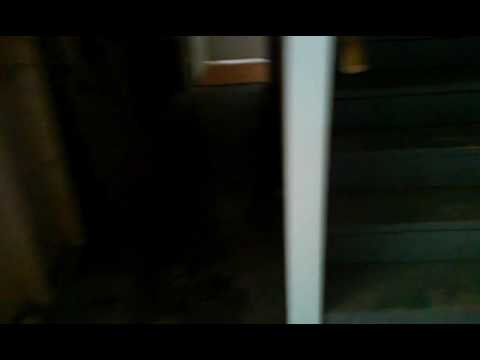 Dogman caught on tape in Minnesota real or fake - YouTube