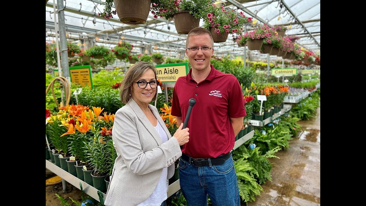 FOX 32 'Good Day Chicago' visited Sunrise Greenhouse just before Mother ...