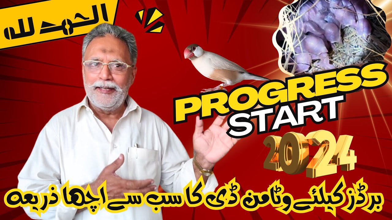 WHY SUNLIGHT IS BEST FOR YOUR BIRDS ? PROGRESS START ON MY FAWN JAVA COLONY | 2024 | VITAMIN D ...