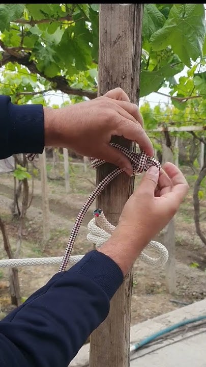 Usually these nodes are widely used at home and work, this node ...