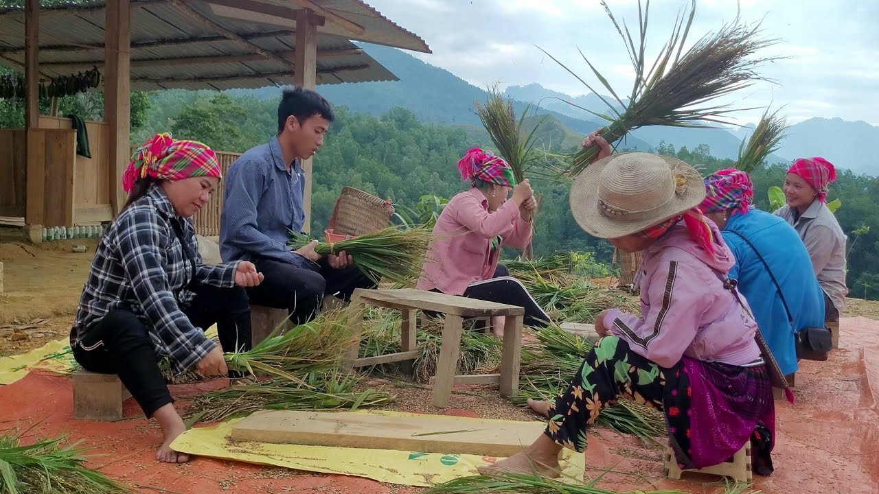 Everyone came to help mother and child harvest rice. - YouTube