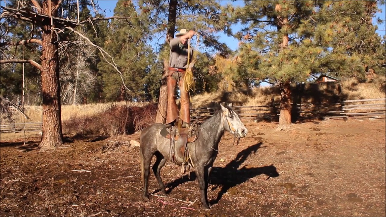 29 Quarter Circle Ranch Horse - YouTube