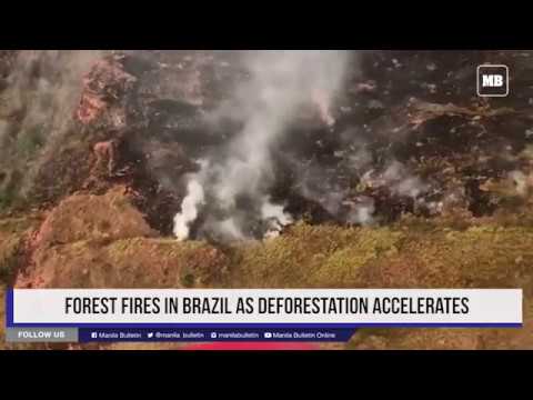 Forest fires in Brazil as deforestation accelerates - YouTube