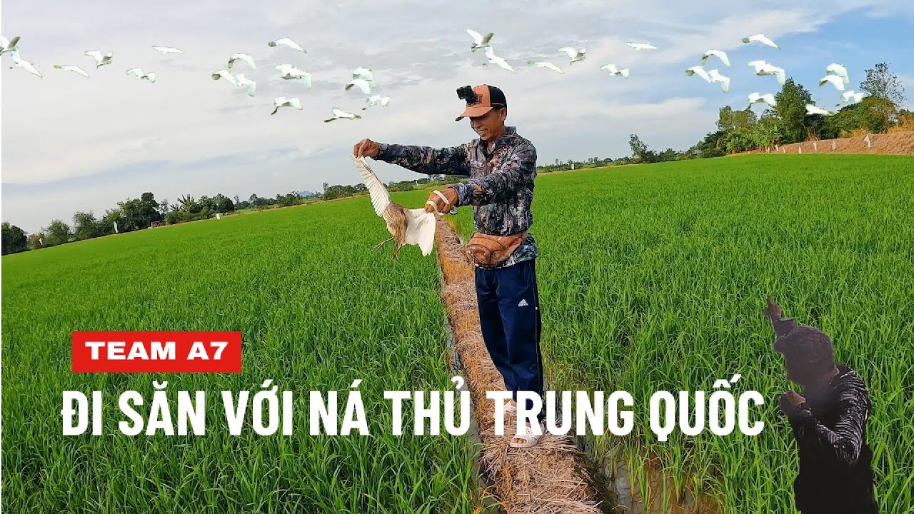 Ná thủ Trung Quốc cùng Team A7 trải nghiệm vùng quê Miền Tây - YouTube