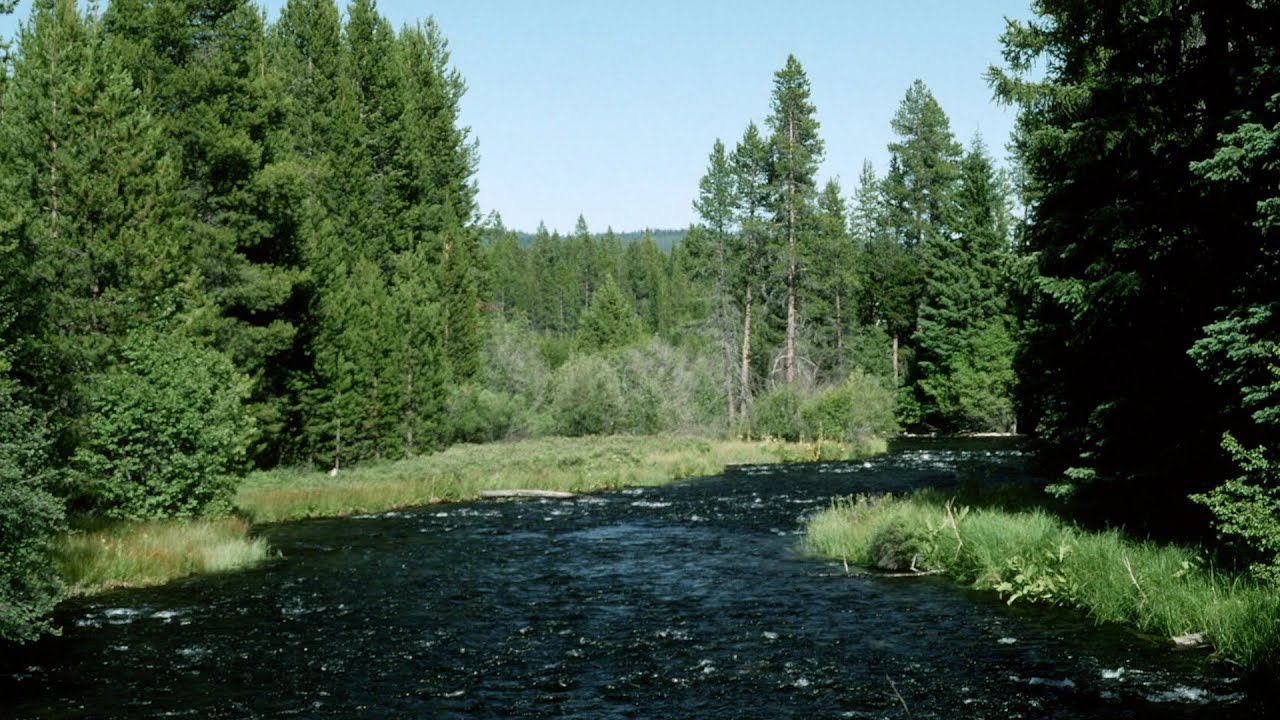 Forest Service offering new digital Annual Northwest Forest Pass - YouTube