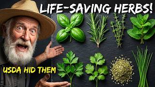 Every Herb Explained — What Your Spice Rack Has Been Hiding From You