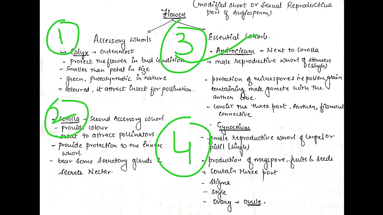 REPRODUCTION IN FLOWERING PLANT (INTRODUCTION OF FLOWER) CLASS X AND ...