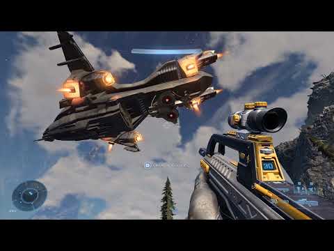 Echo 216 betrays more manines than I do