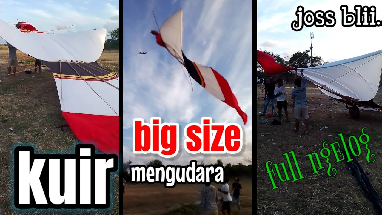 layangan kuwir big size terbang mengudara//ngelog joss - YouTube