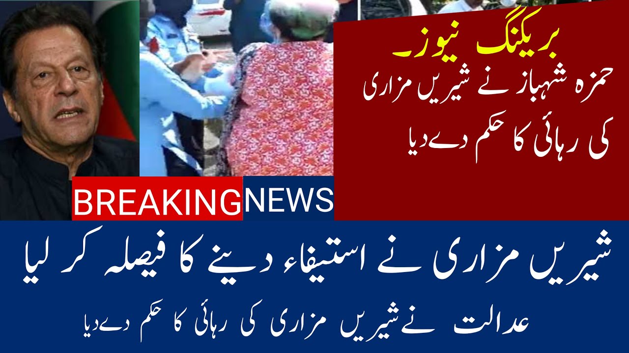 Hamza Shahbaz ordered the release of Shereen Mazari || Shereen Mazari ...