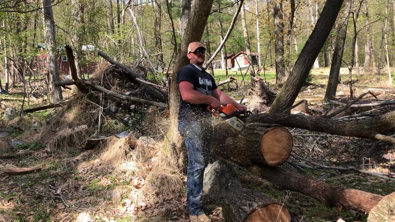 Bucking wood for the firewood stand - YouTube